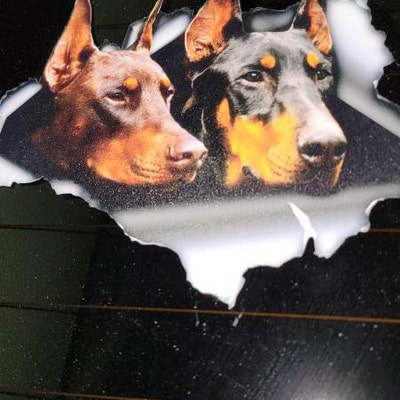 Labrador Decal Pet Decal Lab Decal Labrador Retriever Decal - Etsy