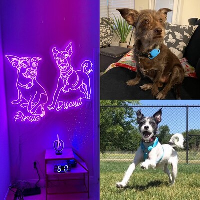 Samoyed Dog Neon Sign, Custom Pet Neon Sign, Dog Neon Wall Decor, Dog ...