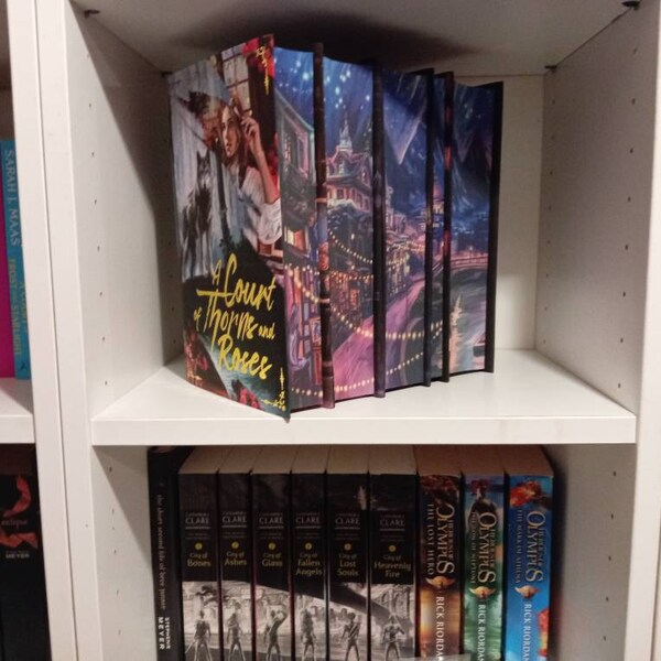 From Blood and Ash Special Edition Book Set | FBAA, Booktok, Bookish ...