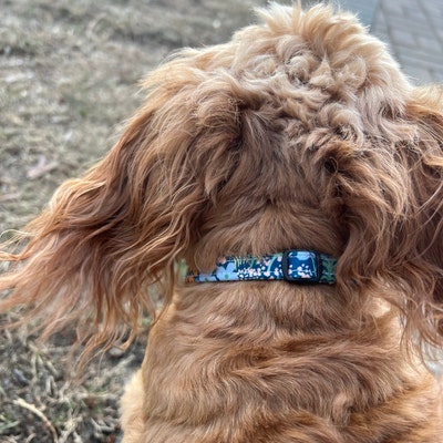 Skull Cat Collars Nautical Cat Collar Skull Cat Harness Pirate Cat ...