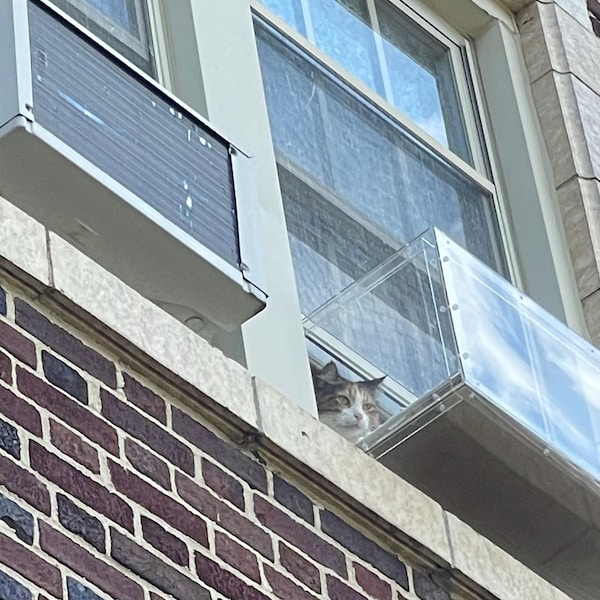 Cat Bed Catio/window Perch (fits 24”-36” Windows) - Etsy