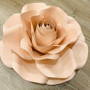 Wild Rose Medium Paper Flower Template PDF Printable Rose Template Size ...