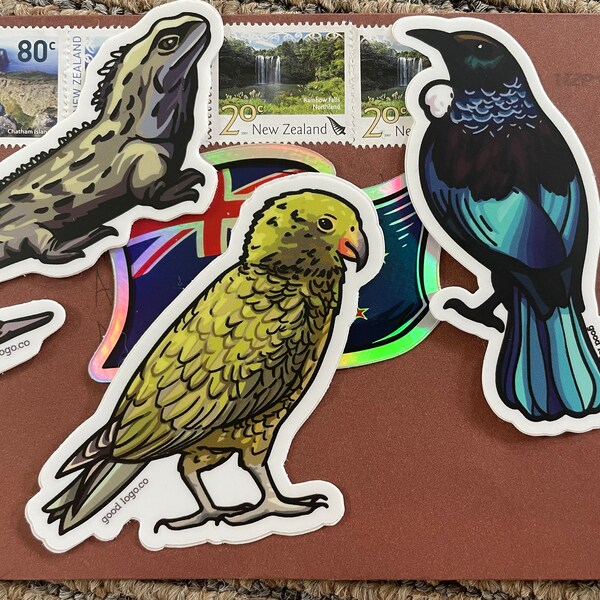 The Tui Sticker, New Zealand Sticker, NZ Sticker - Etsy