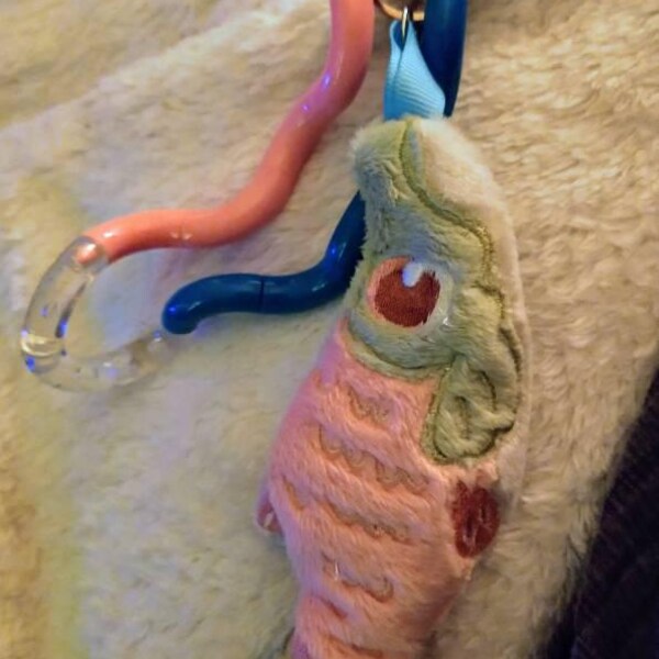 Alligator Beanie Plush - Hand Made Swamp Buddies Weighted Sensory ...