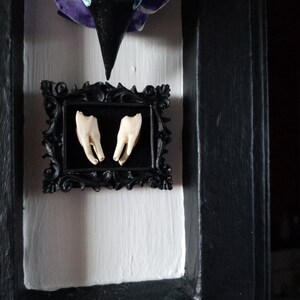 Real Mole Bone Displays. Bone Display. Mounted Mole Bones. | Etsy UK