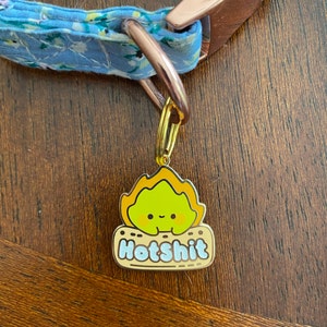 Rainbow Dog Tag Rainbow Pet Tag Custom Engraved Pet ID Tag | Etsy