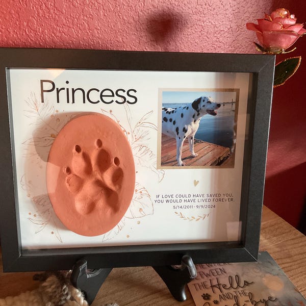 Pet Memorial Gift With Collar and Clay Paw Print Shadow Box, Clay Paw ...