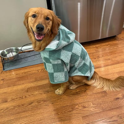 Crochet Cockapoo Pattern, Amigurumi Dog Pattern, Dog Stuffed Animal ...