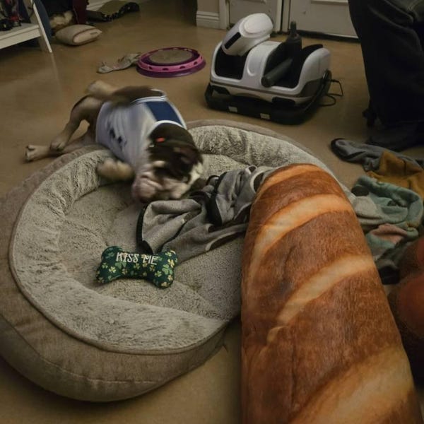 Liverpool FC -inspired Personalised Pet Tank Top With Original FC Logo ...