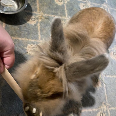 Lil Peep Sticker, Beamer Boy Decal, Beamer Boy Sticker, Lil Peep Beamer ...