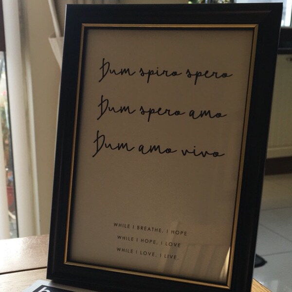 Dum Spiro Spero Print | Scandi Print | While I Breathe I Hope | Latin ...