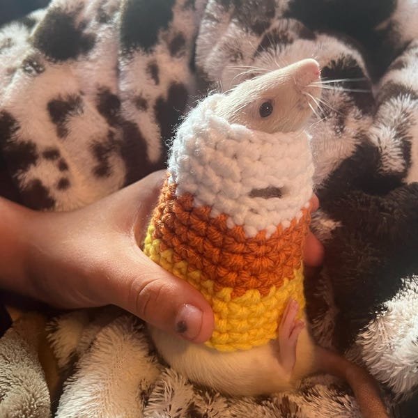 Rat Sweater for Rat Crochet Sweater for Small Pet Sweater for Fancy Rat ...