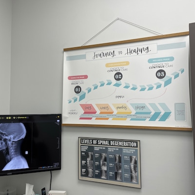 Meet the Integrator Chiropractic Technique Poster - Etsy