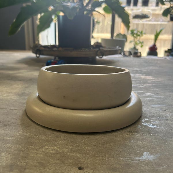 Concrete Planter With Saucer, Modern Low Plant Pot, Bubble Planter ...