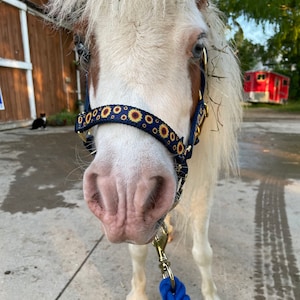 Horses with Bits Horse Halter Bit Design Draft Halter Custom | Etsy