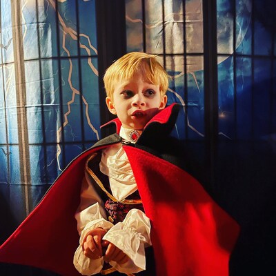 Sherlock Holmes Detective Cape Halloween Costume Plaid Cloak - Etsy