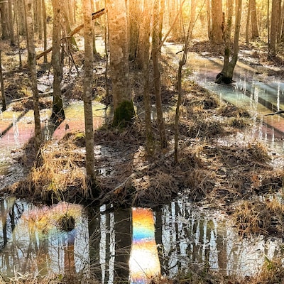 16 Sun Flare Lightroom Presets / Photo Filters for Mobile & Desktop ...