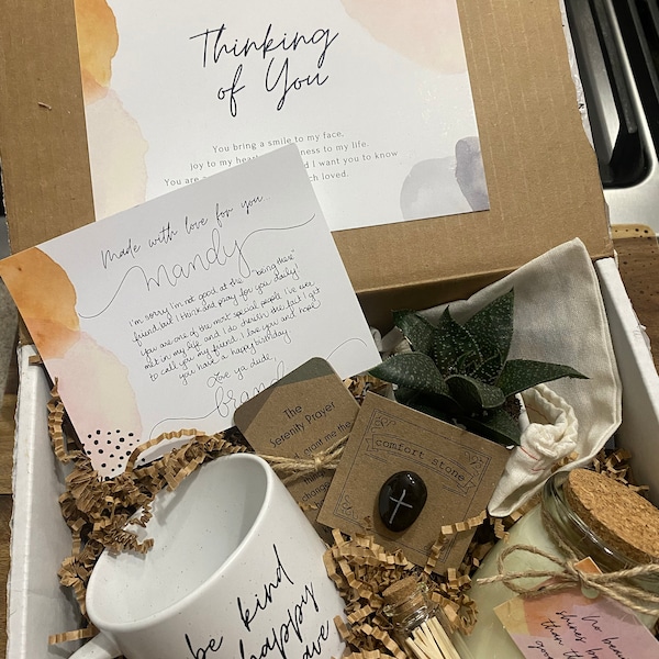 Thinking of You Care Package • Care Package for Her • Live Succulent ...