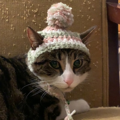 Crochet Pattern: Striped Beanie Hat for Cats, PDF Digital Download ...