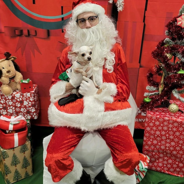 Bellflower Art Nouveau Decorative Tile Drink Coaster Desert Home Decor ...