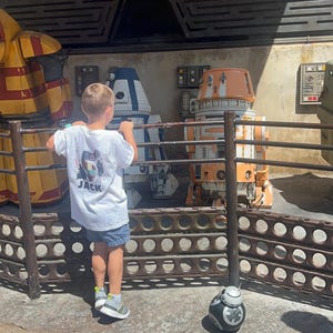 Disney Moana Pua Hei Hei Stitch Pattern Collage Shirt, Magic Kingdom ...