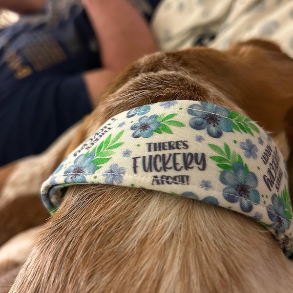 Dog Collar/fresh Out of Fus Dog Collar/ Flower Dog Collar/ Cussing Dog ...