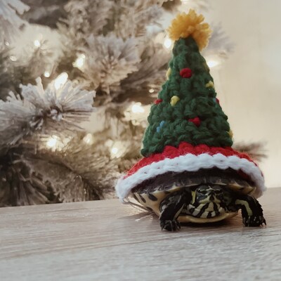 Alien in Spaceship Costume for Turtle/tortoises - Etsy