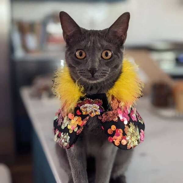 Keiko's MERMAID WHIMSICAL Cape - Cat Costume, Dog Outfit, Gatsby Cape ...