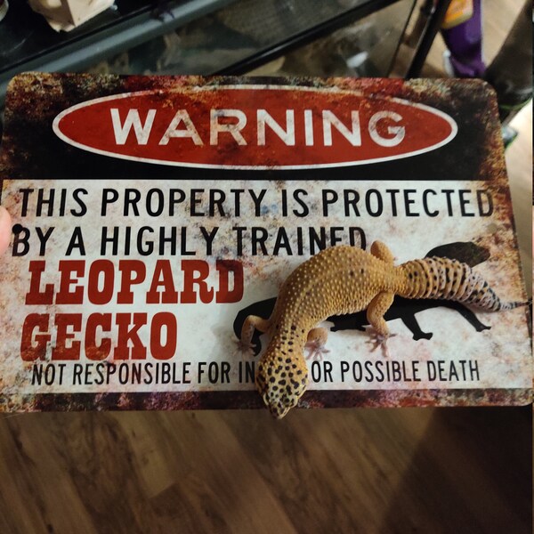 Leopard Gecko Sign,funny Metal Signs,leopard Gecko Gift,gecko ...