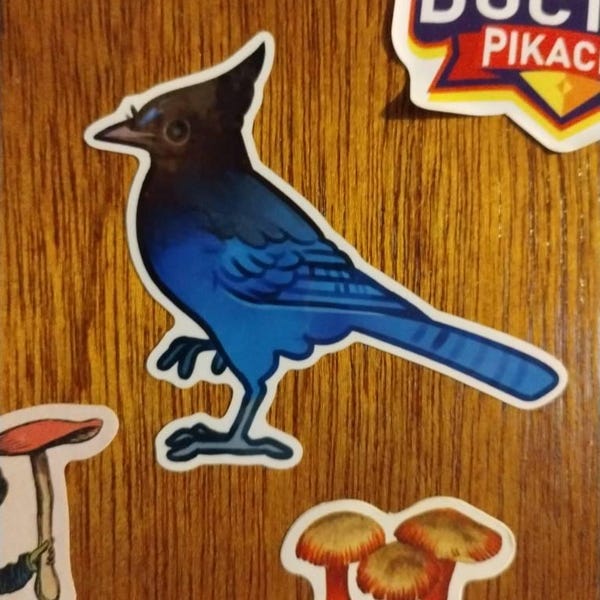 Blue Chibi Birds ~ Sticker Sheet - Etsy