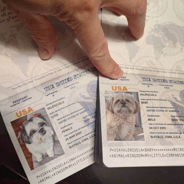 The Pet Pass 50 US State Stamp Stickers - Etsy