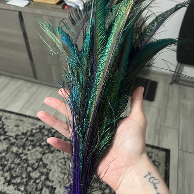 PHEASANT Feather PADS in Many Various Styles/colors for Hats Millinery ...