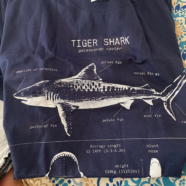 Tiger Shark Anatomy T Shirt, Tiger Shark Shirt, Eco Friendly Shark ...