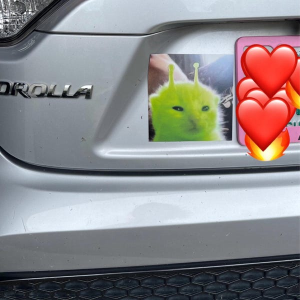 Screaming Cat Meme Car Warning Sticker | Cute Kitty Caution Airbag ...