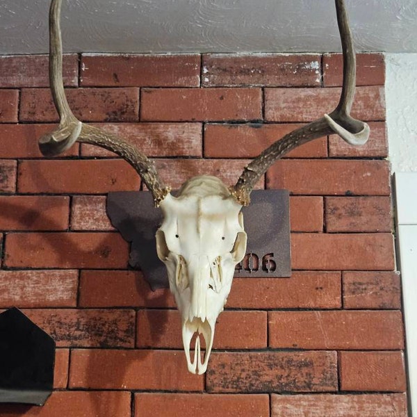 Elk Mount - Metal European Mount - Custom and Made to Order - Etsy