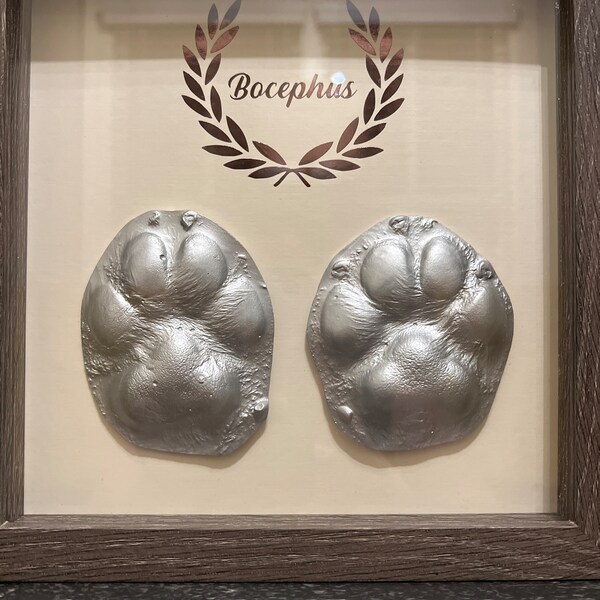 Pet Casting - Paw Cast - Paw Print - DIY Casting Kit - Keepsake for Dog ...