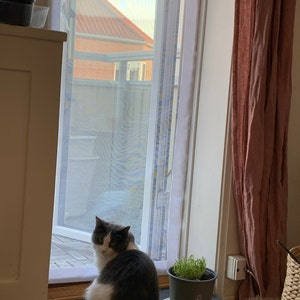 Custom Flat Cats Window Screens Mesh Window Protection for Cats - Etsy