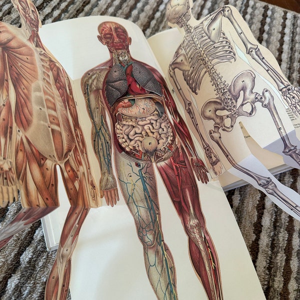 Framed John Wayne Print, Larry Bees Limited Edition Print, John Wayne ...