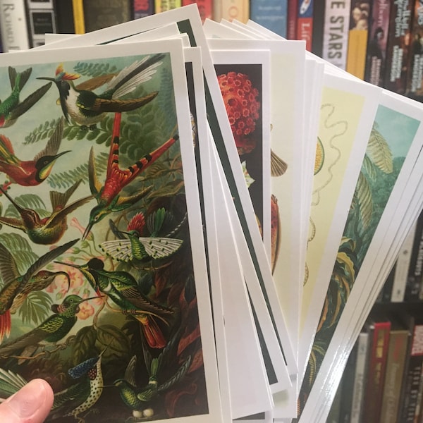 U.S. State Map Postcard Set of 50. Postcards Variety Pack. Post Cards ...