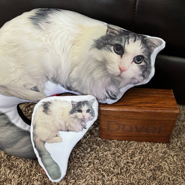 Anatomical Heart, Skull, Kidney, Brain Sticker Set Medical Student ...