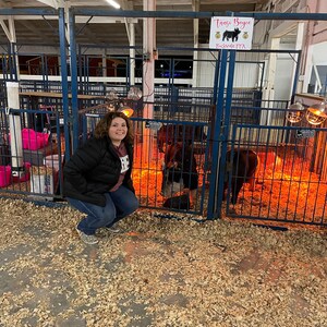 Aztec Show Pig Digital File Stock Show Pig Show Pig PNG - Etsy