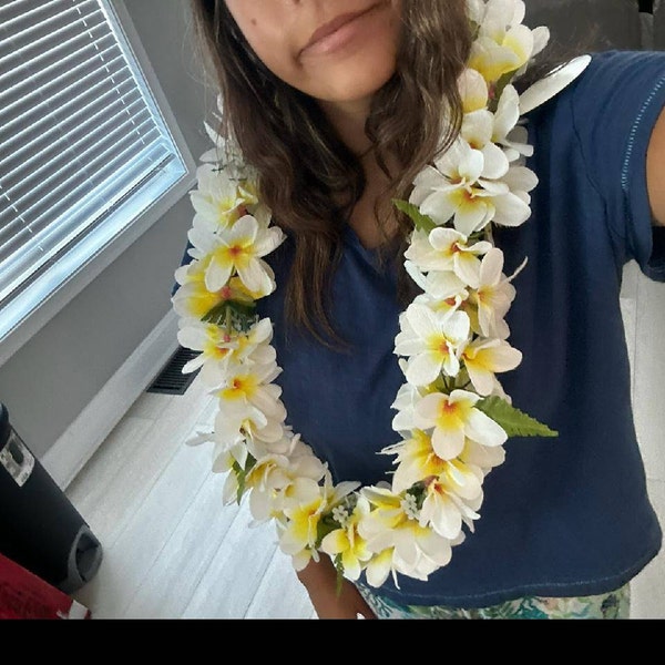 Hawaiian Koa Seed Lei Necklace Ipil Ipil Seed Lei BROWN Kukui Lei ...