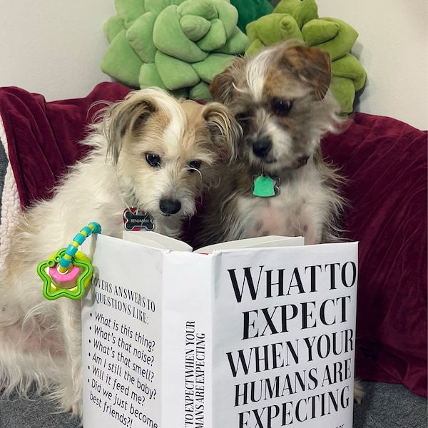 INSTANT DOWNLOAD What to Expect When Your Humans Are Expecting Fake ...