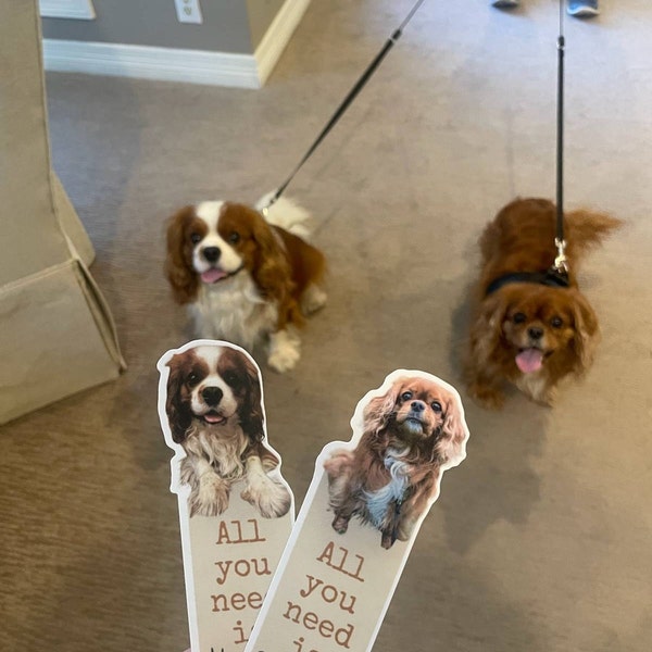 Thank You Mailbox Decal-new, Mailman Sticker, Mailman Gift, Mailbox ...