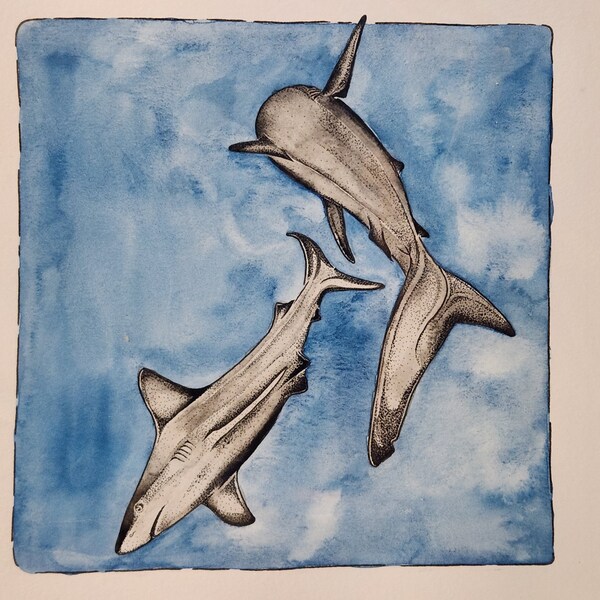 Reef Shark Watercolour Print - Marine Themed Wall Art Home Design - Etsy