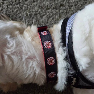 Canine Cancer Survivor Ribbon Dog Collar-canine Cancer - Etsy