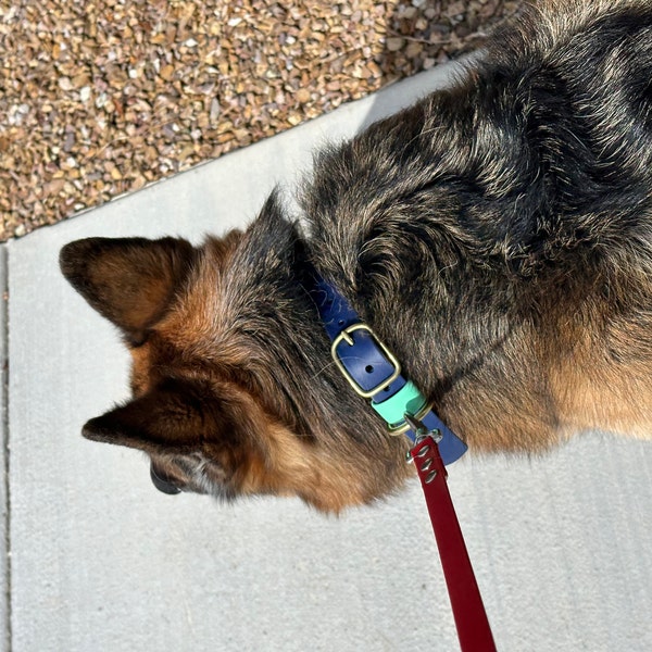 Large Custom Two Tone Sage and White Biothane® Collar Waterproof - Etsy