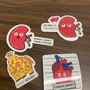 Cute Kidney Sticker/ You've Got to Be Kidney Me/ Kidney Stone/ Medical ...