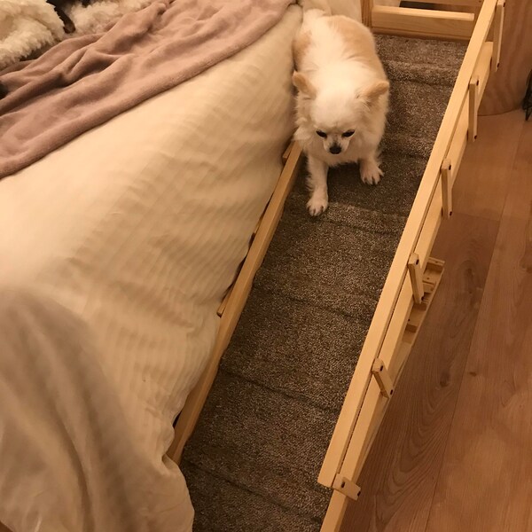 Pet Ramp With Foldable Rails Extra Front Rail - Etsy