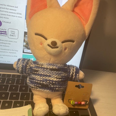 Pilot SKZOO Cat Hats Crochet Stray Kids - Etsy